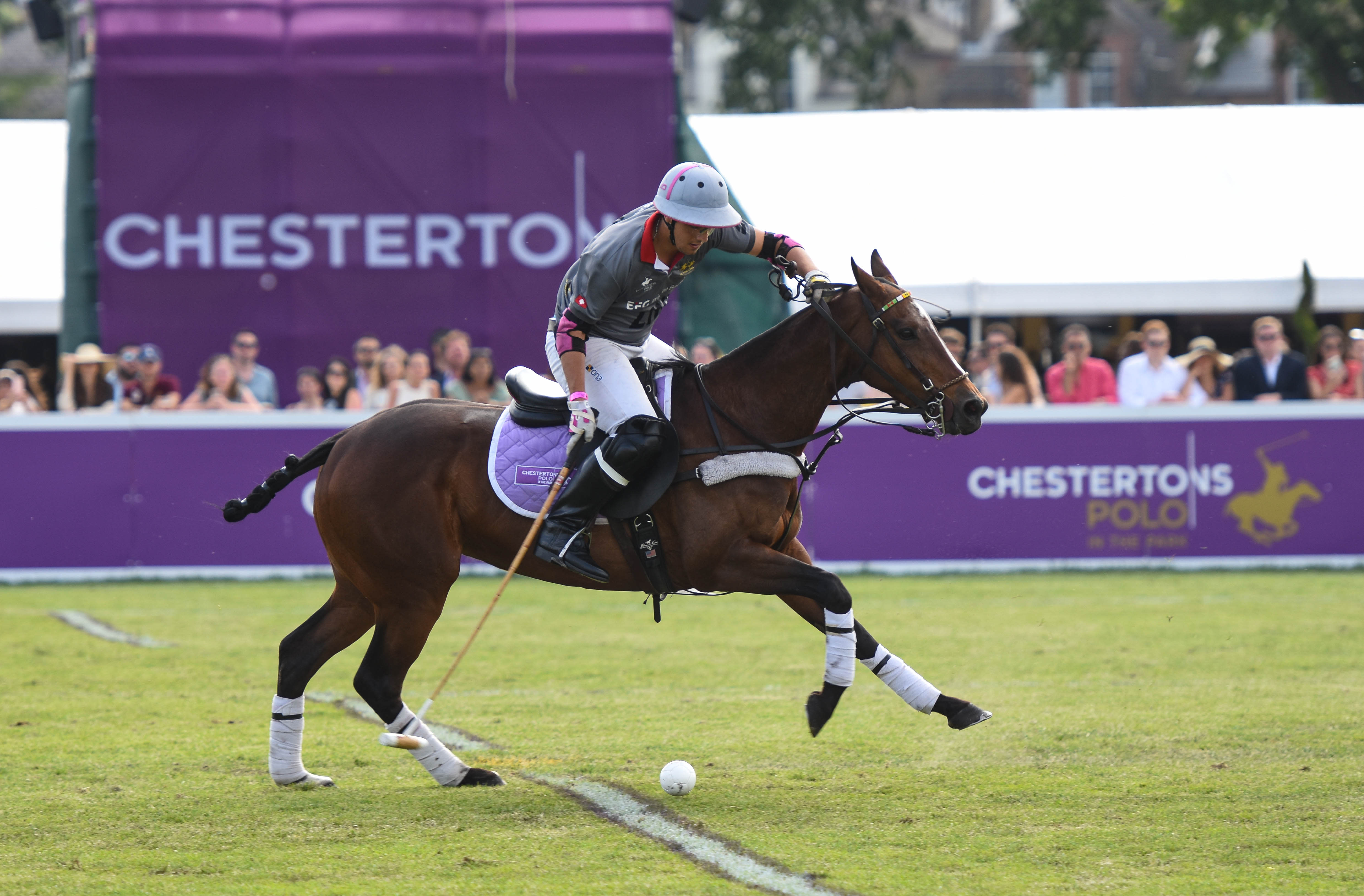 Best Places to Watch Chesterton's Polo in the Park