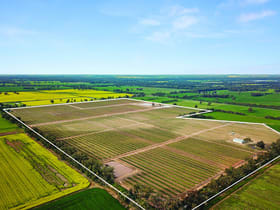 1,331 Rural & Farming Properties For Sale in VIC