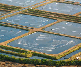 146 Rural & Farming Properties For Sale in Mackay, QLD 4740