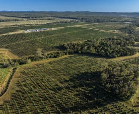 62 Rural & Farming Properties For Sale in Clarence Valley, NSW