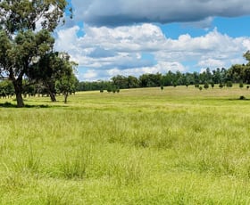 9,125 Rural & Farming Properties Sold in Caroona, NSW 2343