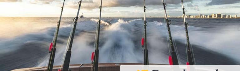 Marine Businesses for Sale in Mooloolaba, QLD 4557