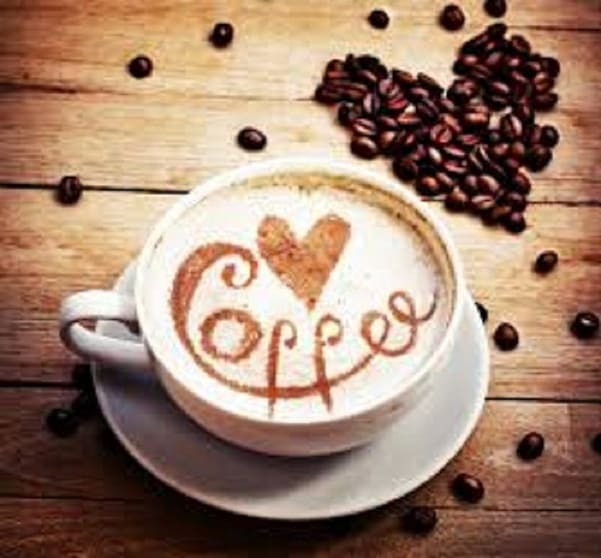 Food, Beverage & Hospitality - North Ryde NSW 2113 - 2020918650
