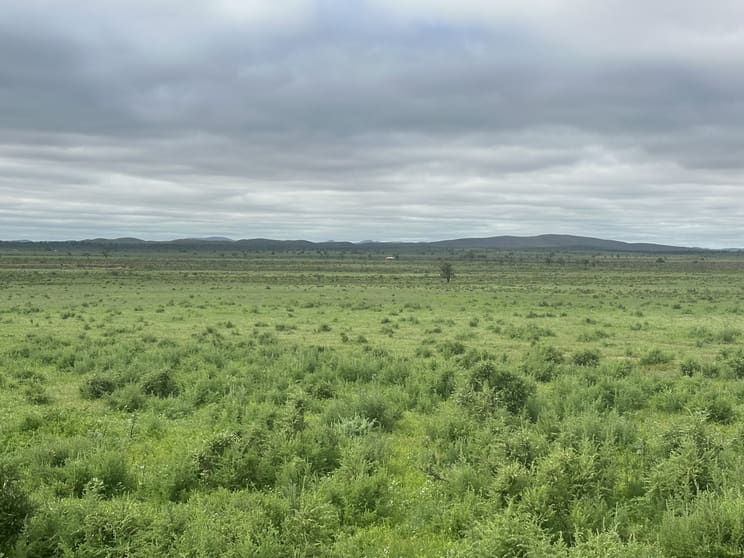 Rural & Farming Property For Sale in 'Cavenagh' Orroroo-Paratoo Road ...
