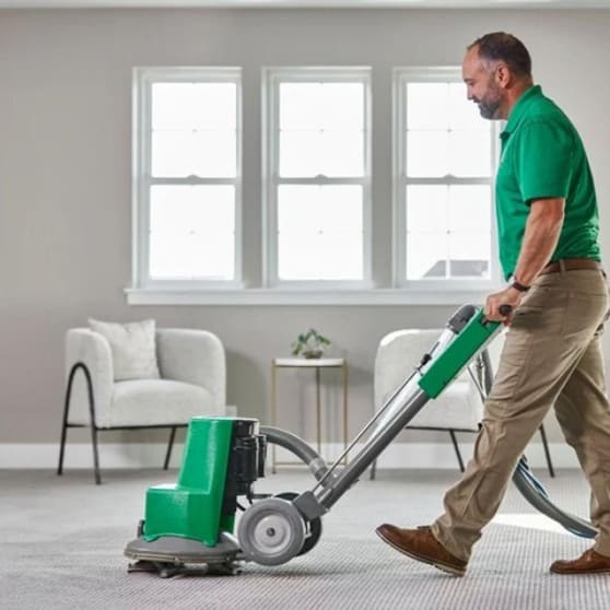 Cleaning & Maintenance - Albury NSW 2640 - 2020934448