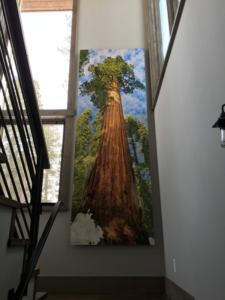 Examples Of Installation Art