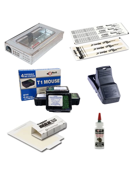 How To Get Rid of House Mice | Do-It-Yourself Pest Control