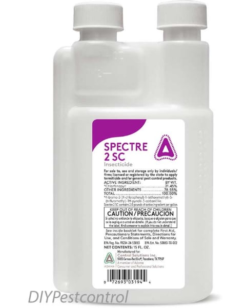 Difference Between Flying Ants and Termites | Do-It-Yourself Pest Control