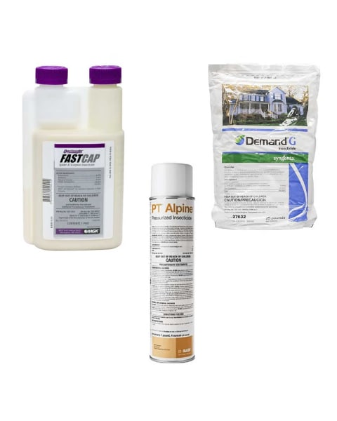 Get Rid Of Springtails