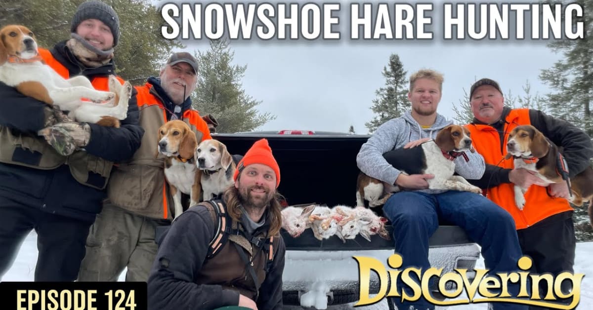 DISCOVERING | Hort's Hideaway Snowshoe Hare Hunting, Predator Roundup ...