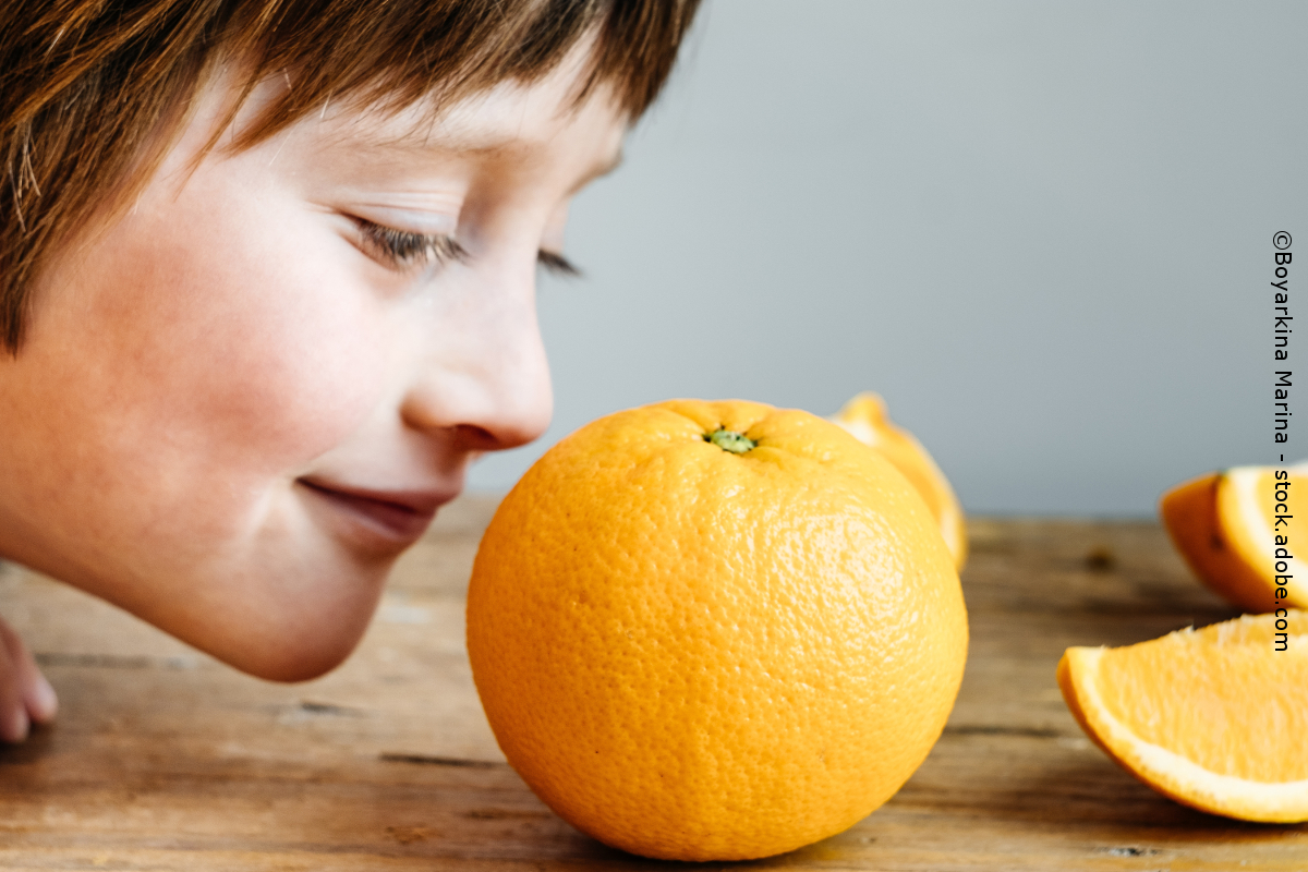 Wie unser Geruchssinn Düfte wahrnimmt und unser Verhalten lenkt