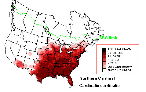 Northern Cardinal - eBirdr