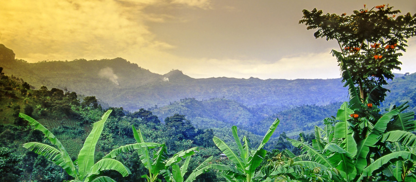 Exclusive Travel Tips for Mt Elgon -Trekking in Uganda