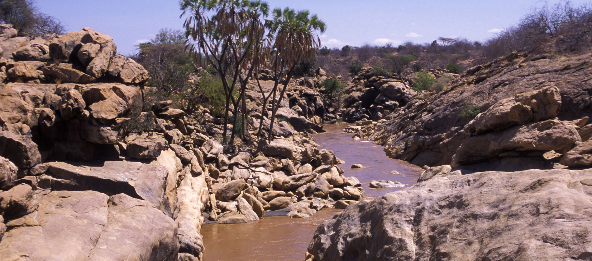 Exclusive Travel Tips for Your Destination Shaba in Kenya