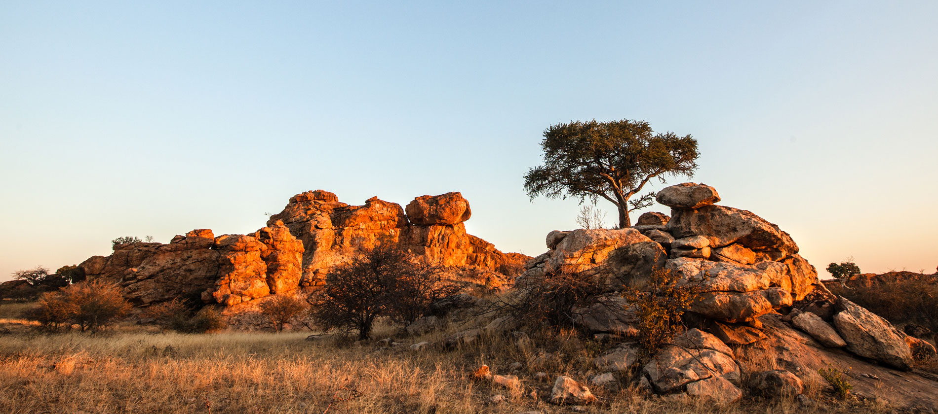 Exclusive Travel Tips for Your Destination Tuli Block in Botswana