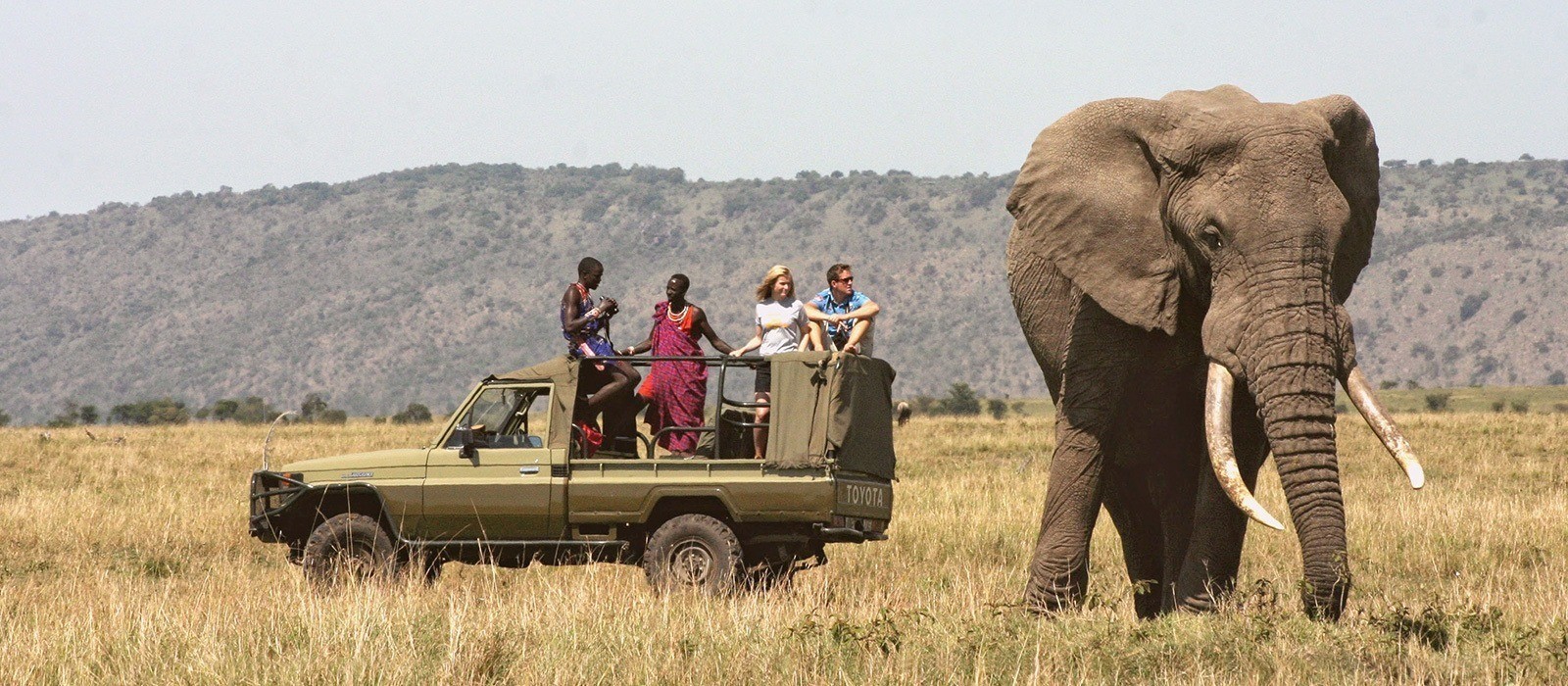 Exclusive Travel Tips For Meru National Park In Kenya exclusive-travel-tips-for-meru-national-park-in-kenya