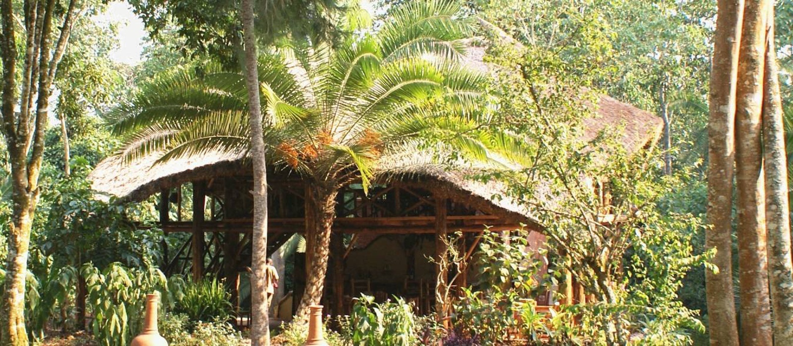 Kibale Forest Camp Hotel in Uganda | ENCHANTING TRAVELS
