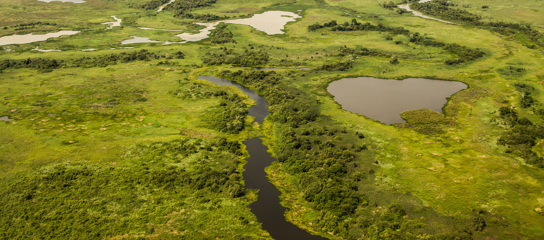 Exclusive Travel Tips for Pantanal North in Brazil