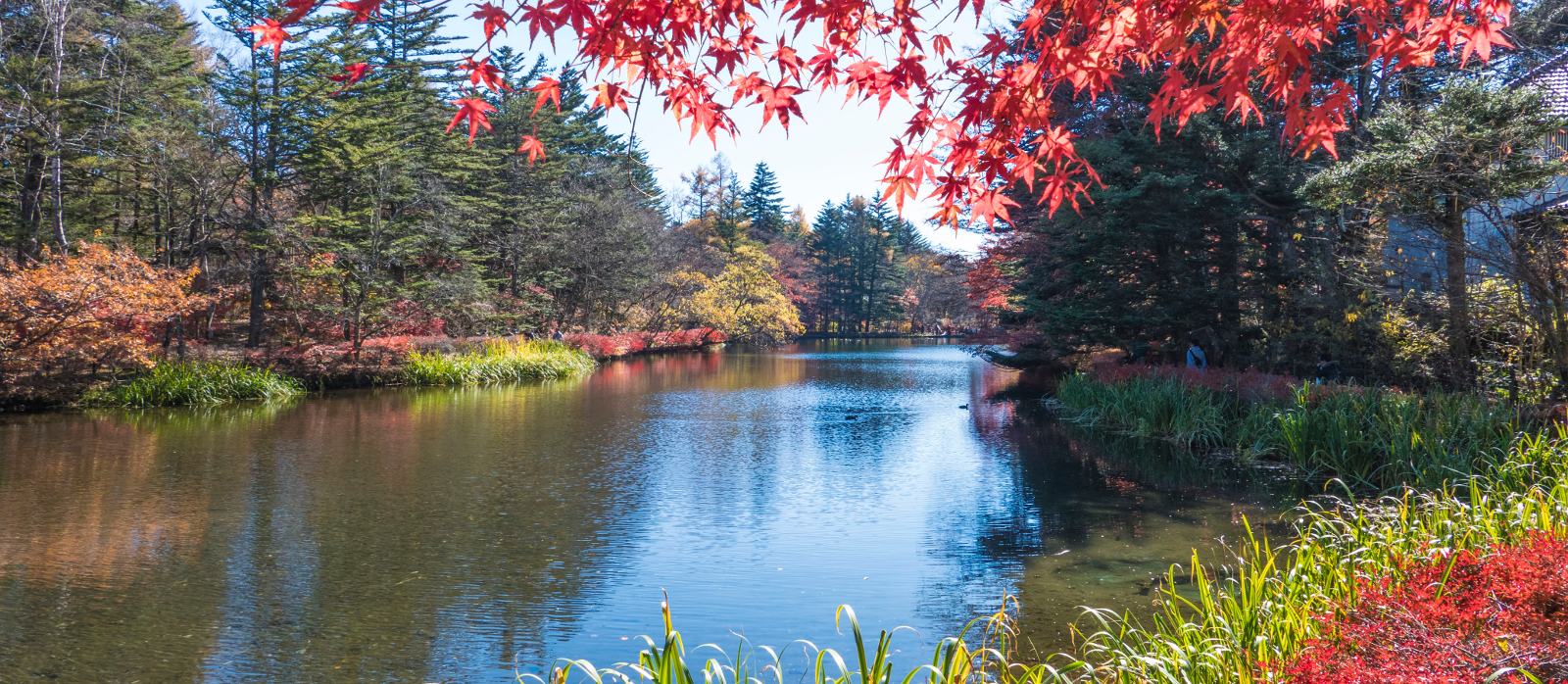 Exclusive Travel Tips for Your Destination Karuizawa in Japan