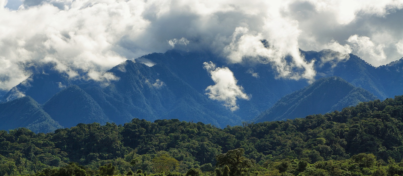 Exclusive Travel Tips for Tena in Ecuador & Galapagos