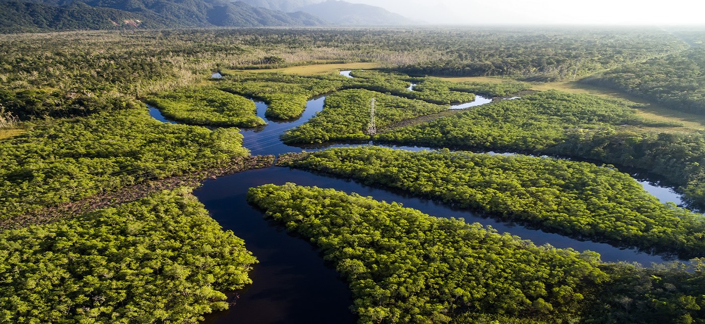 Brasilien Amazonas Tour - unsere Tipps | Enchanting Travels