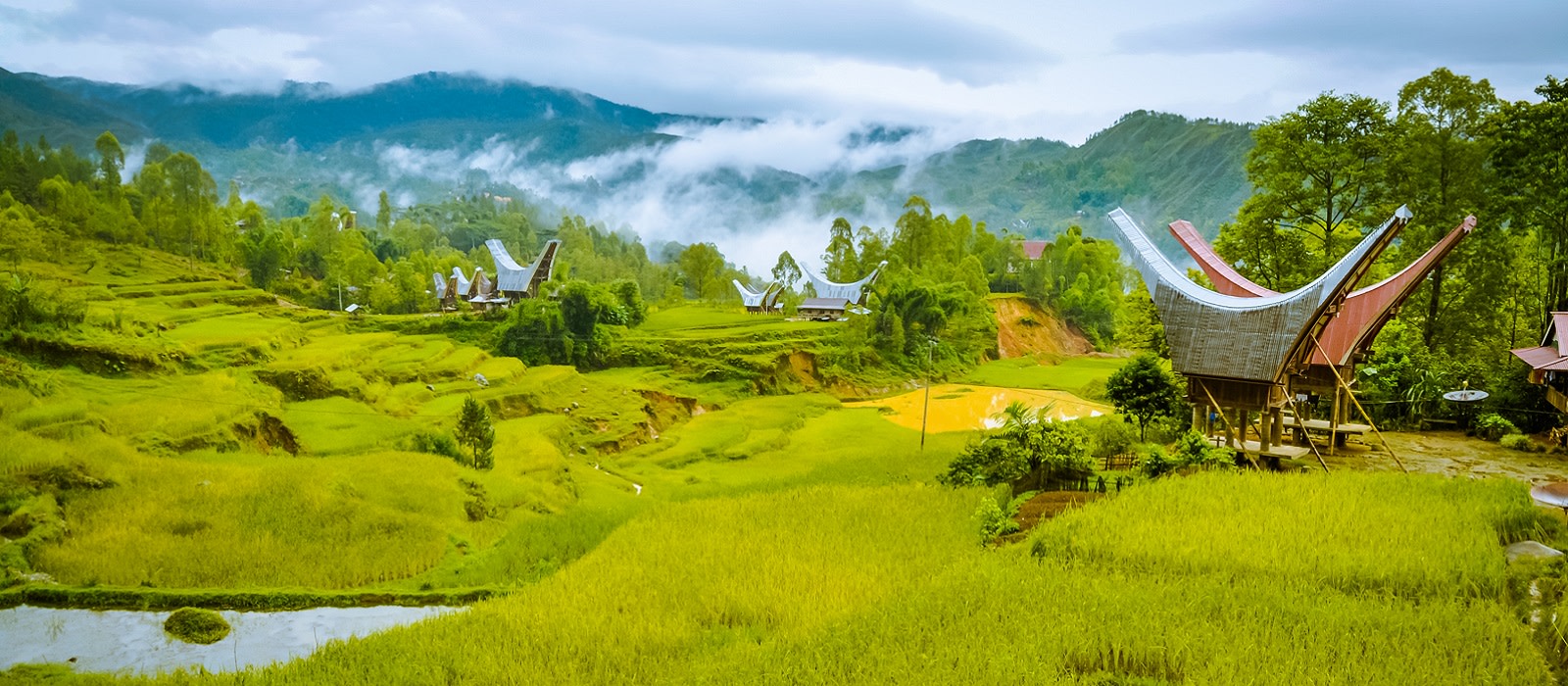 Toraja Tours & Custom Indonesia Tours | Enchanting Travels