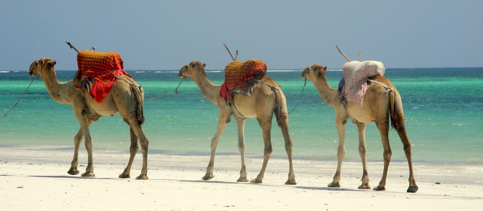 Exclusive Travel Tips for Your Destination North Coast in Kenya