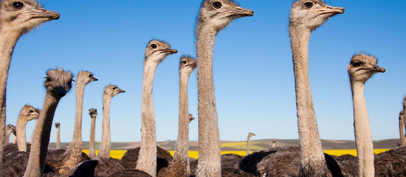 Exclusive Travel Tips for Your Destination Overberg in South Africa