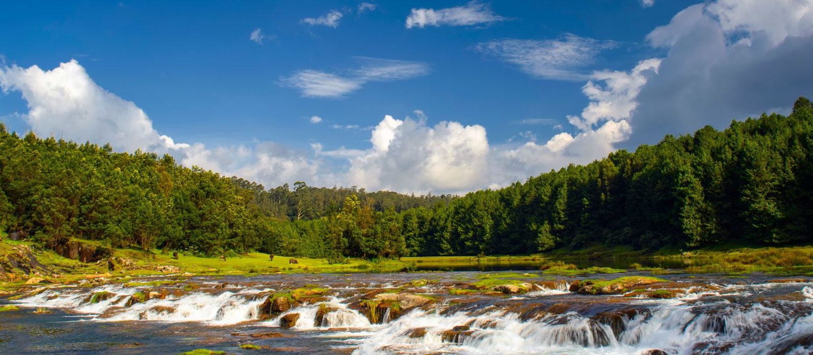 Exclusive Travel Tips for Your Destination Ooty in South India