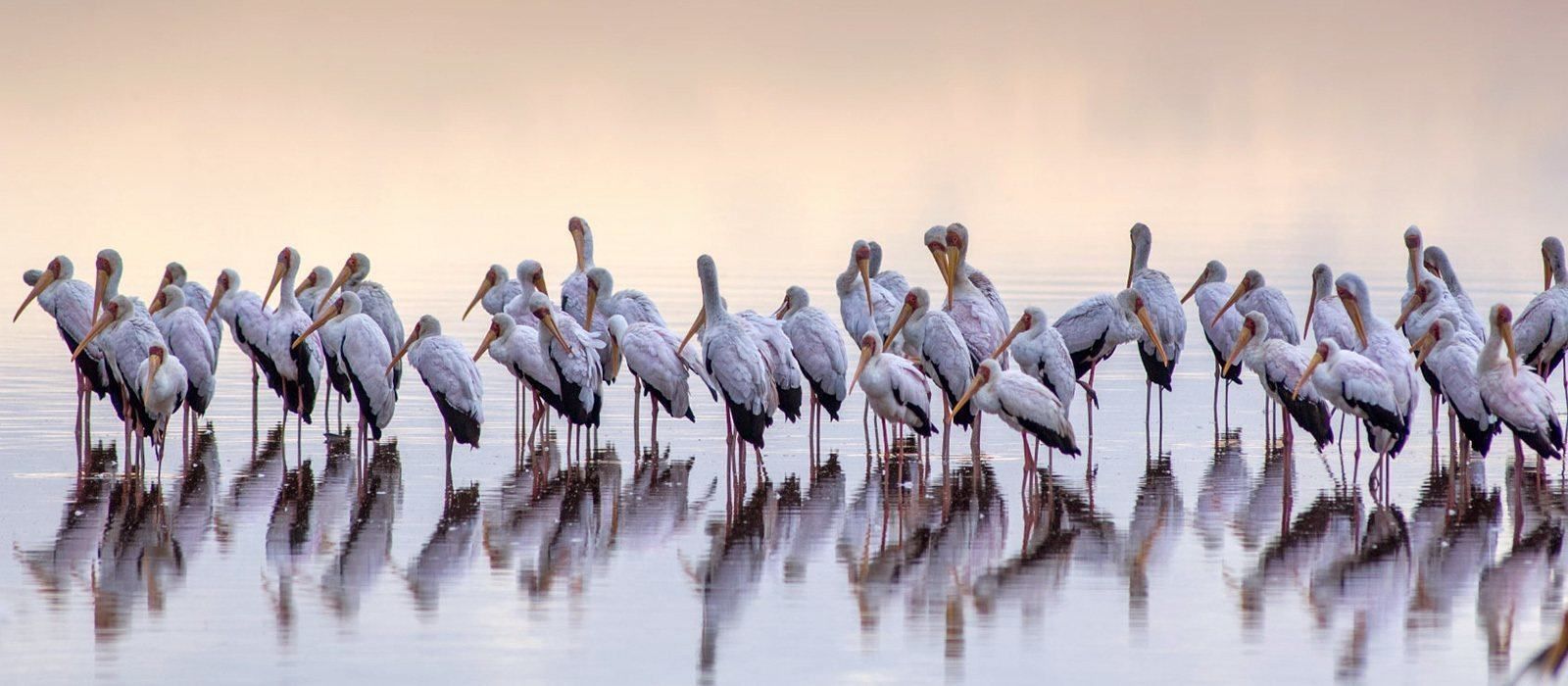 Exclusive Travel Tips for Your Destination Lake Elementaita in Kenya