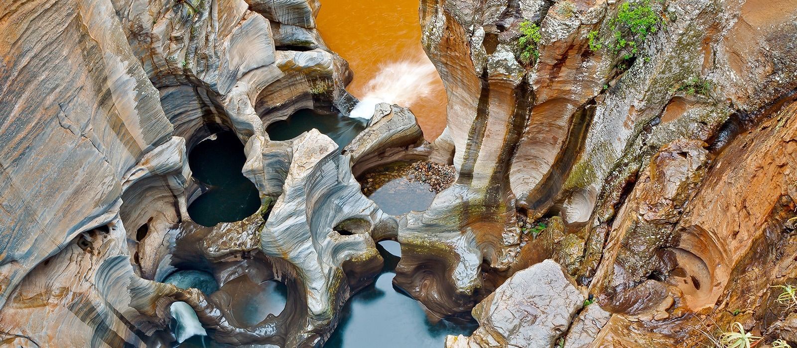 Exclusive Travel Tips for Your Destination Hazyview in South Africa