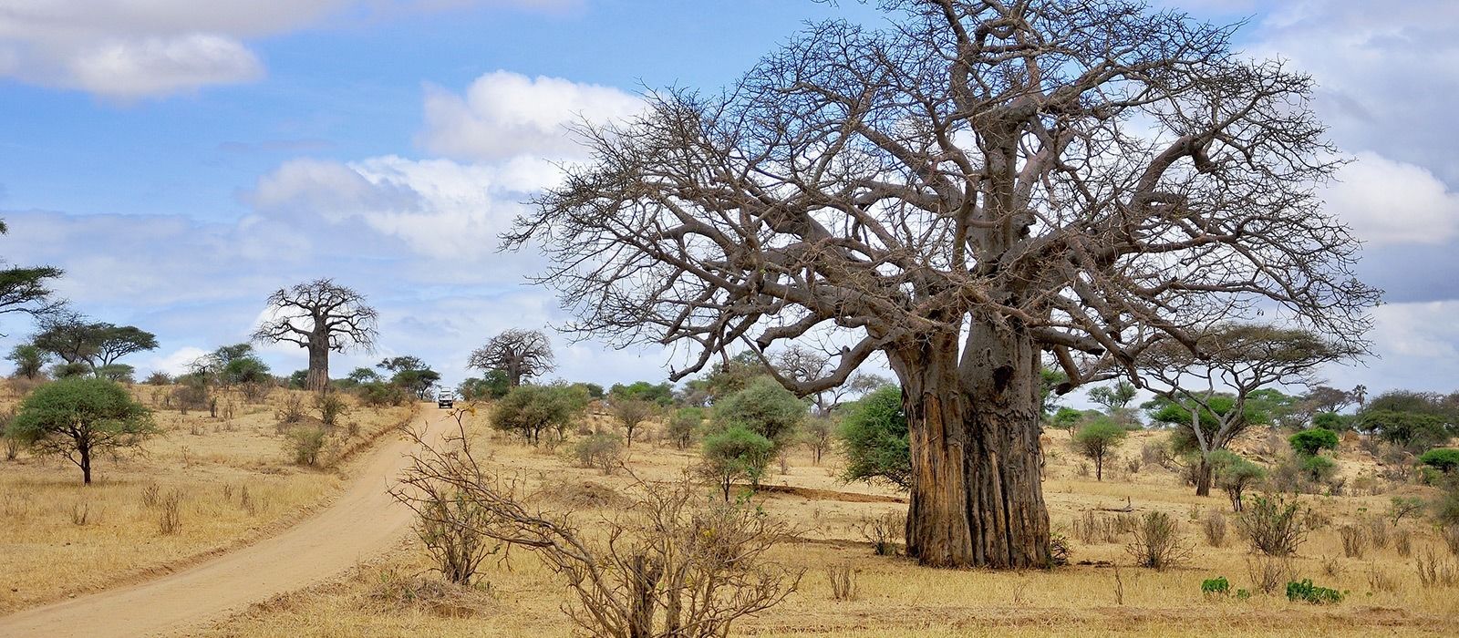 Exclusive Travel Tips for Your Destination Katavi in Tanzania