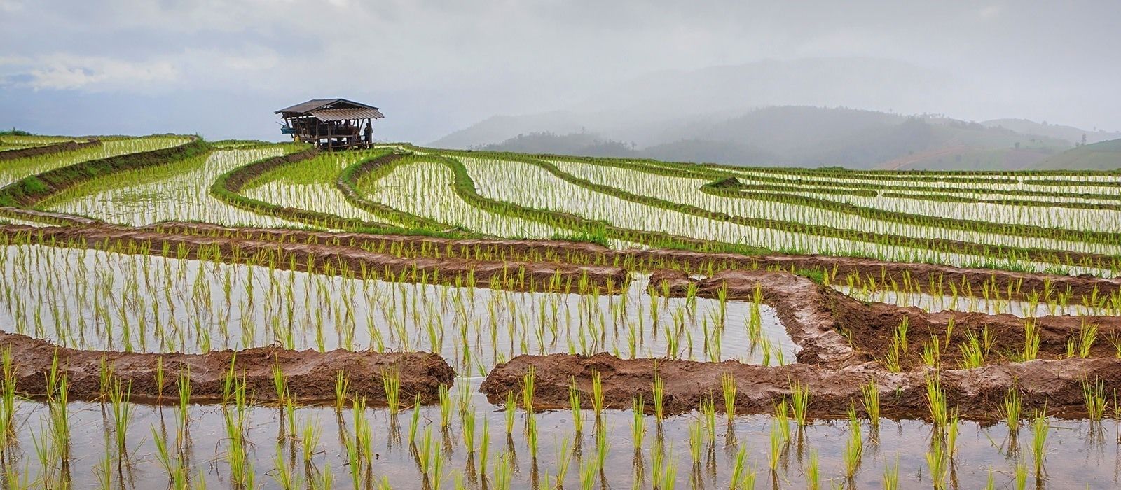 Exclusive Travel Tips for Your Destination Muang La in Laos