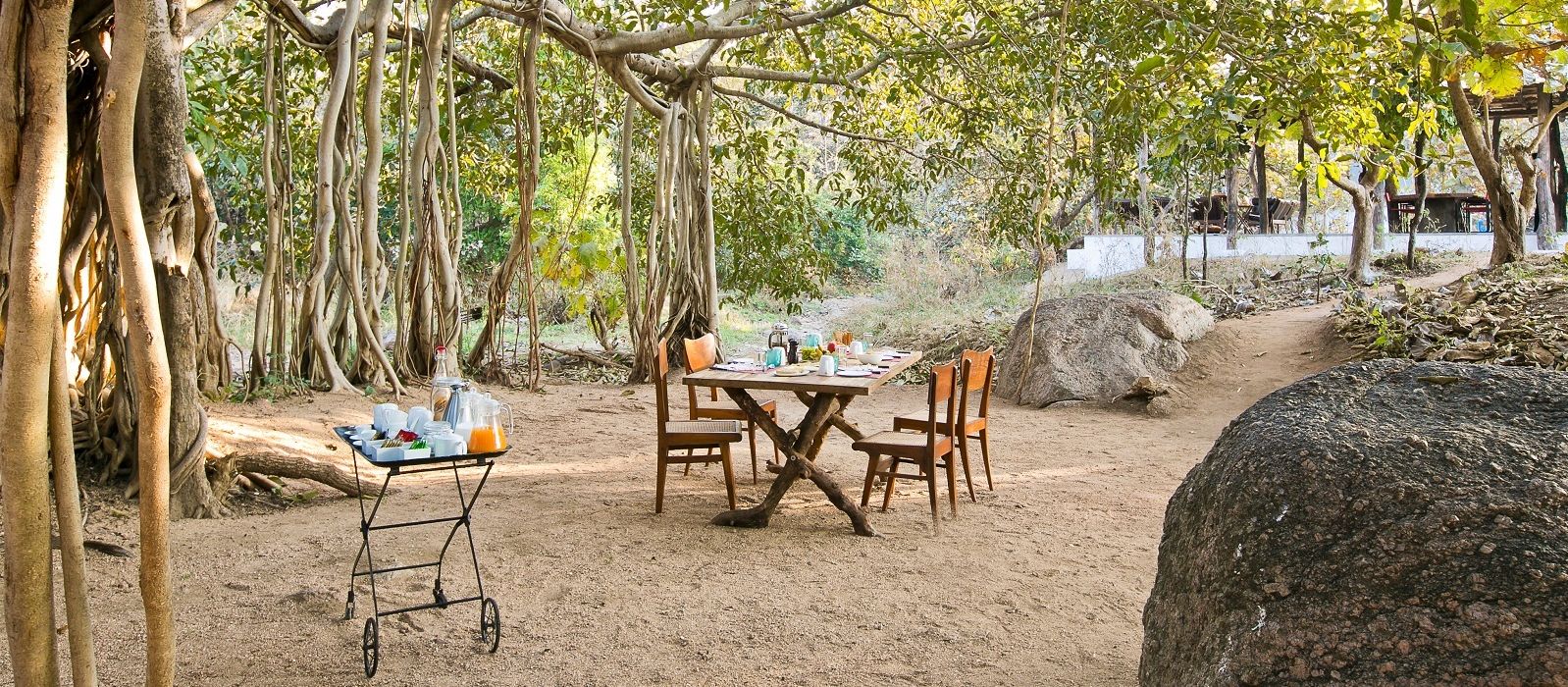 Jamtara Wilderness Camp Hotel in Central & West India | ENCHANTING TRAVELS