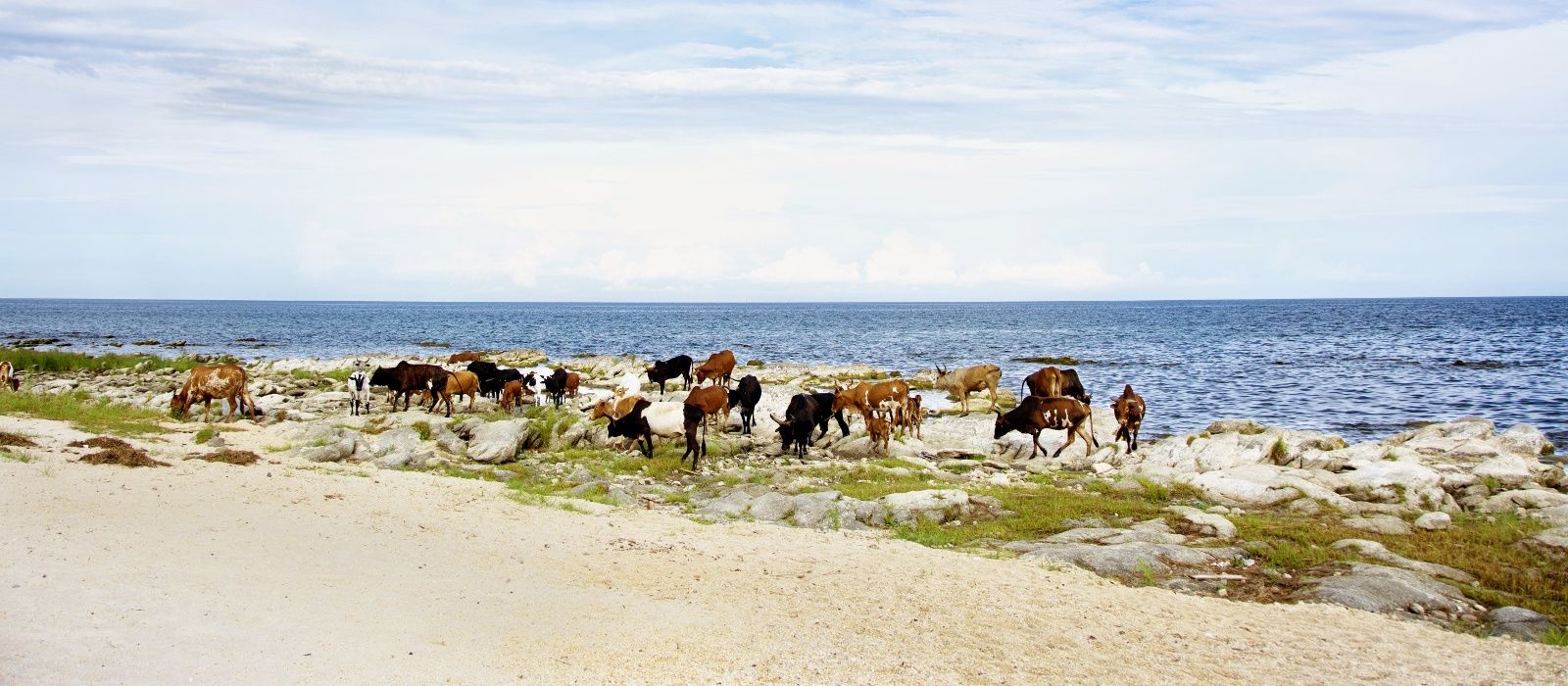 Exclusive Travel Tips for Your Destination Chintheche in Malawi