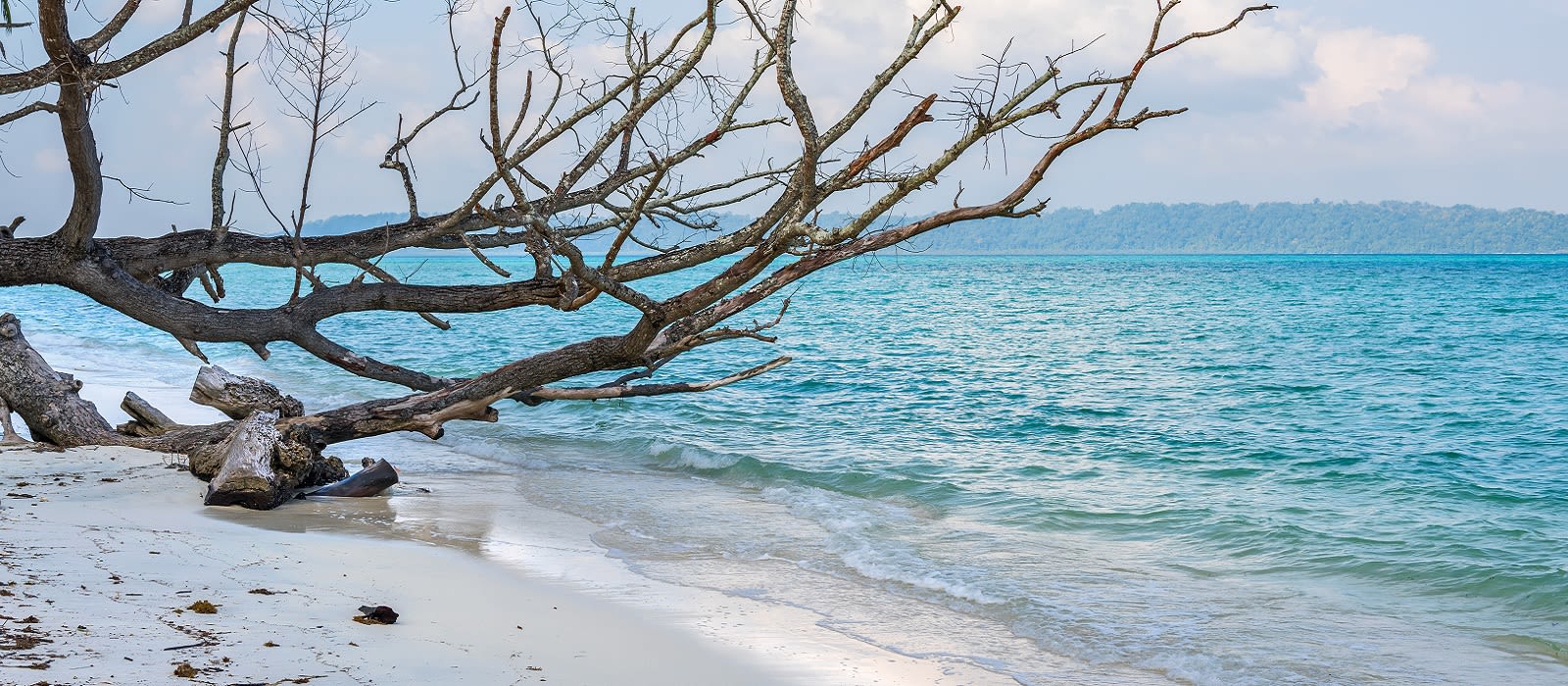 Andaman Islands & Beach Tours | Enchanting Travels