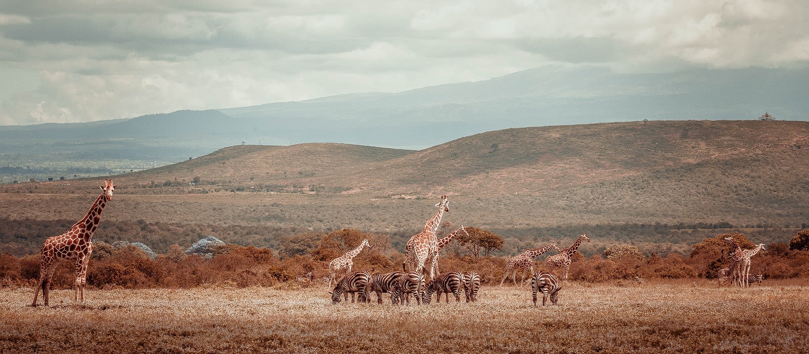 Exclusive Travel Tips for Your Destination Aberdares in Kenya