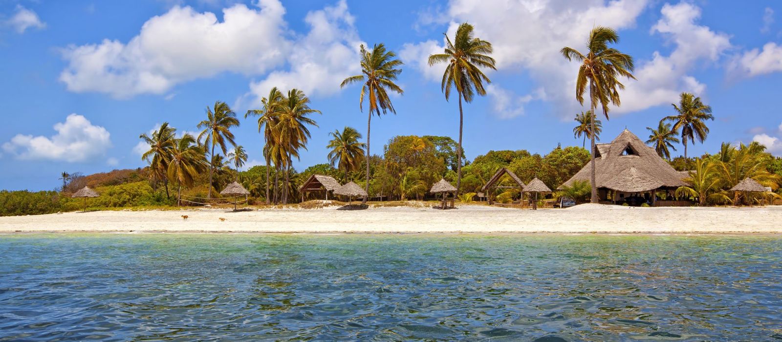 Exclusive Travel Tips for Your Destination Mafia Island in Tanzania