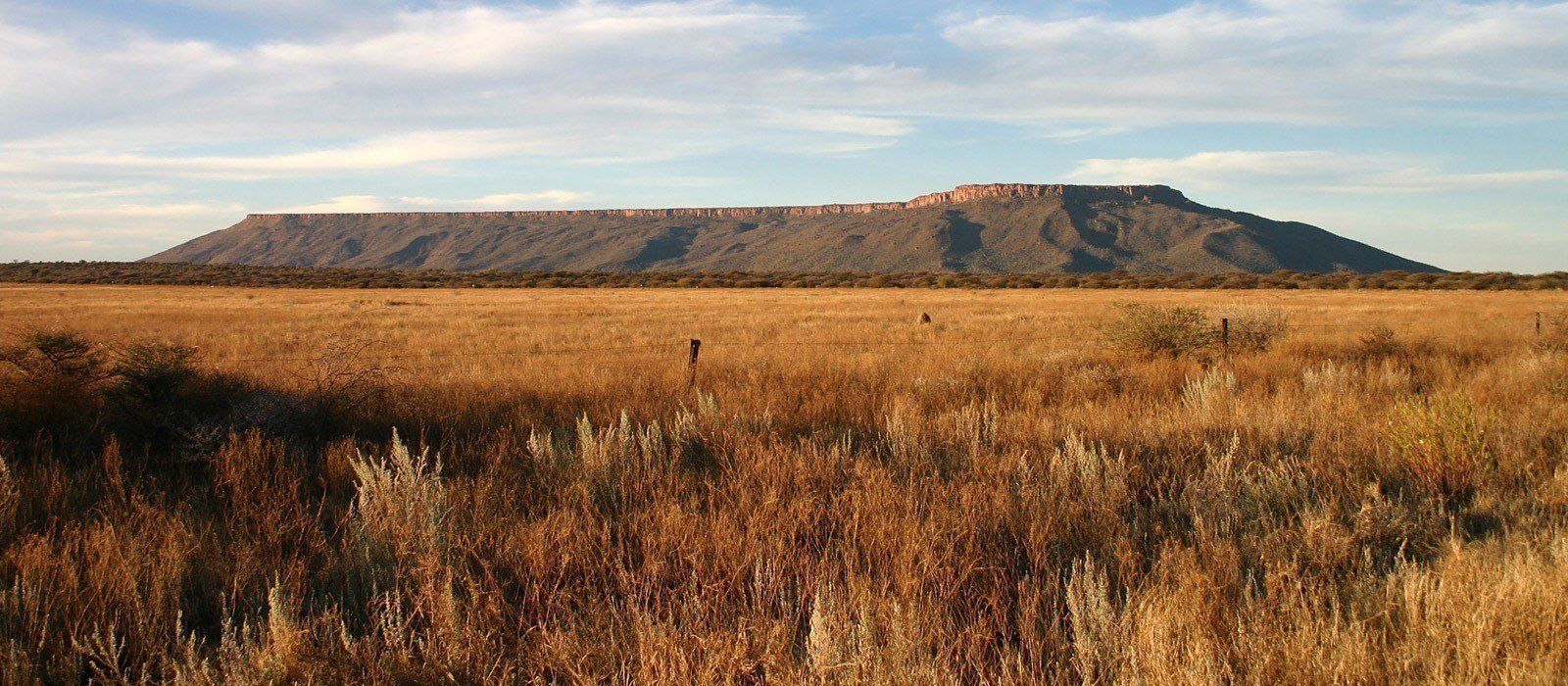 Exclusive Travel Tips for Waterberg Plateau in Namibia