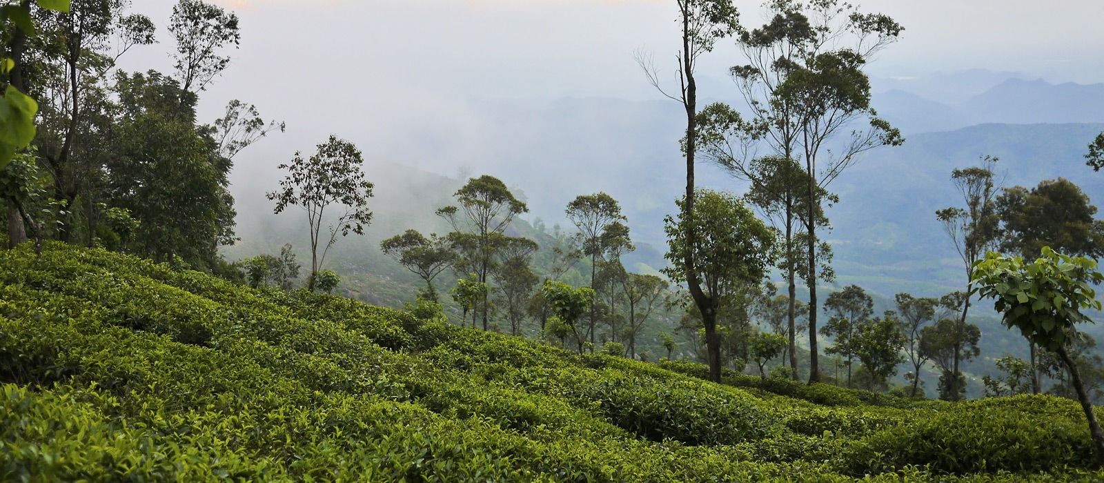 Exclusive Travel Tips for Your Destination Hatton in Sri Lanka