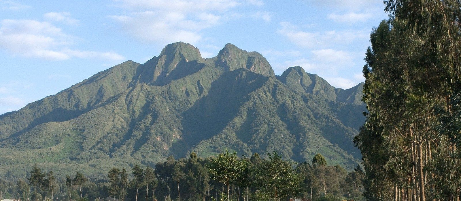 Exclusive Travel Tips for Your Destination Volcanoes National Park in ...