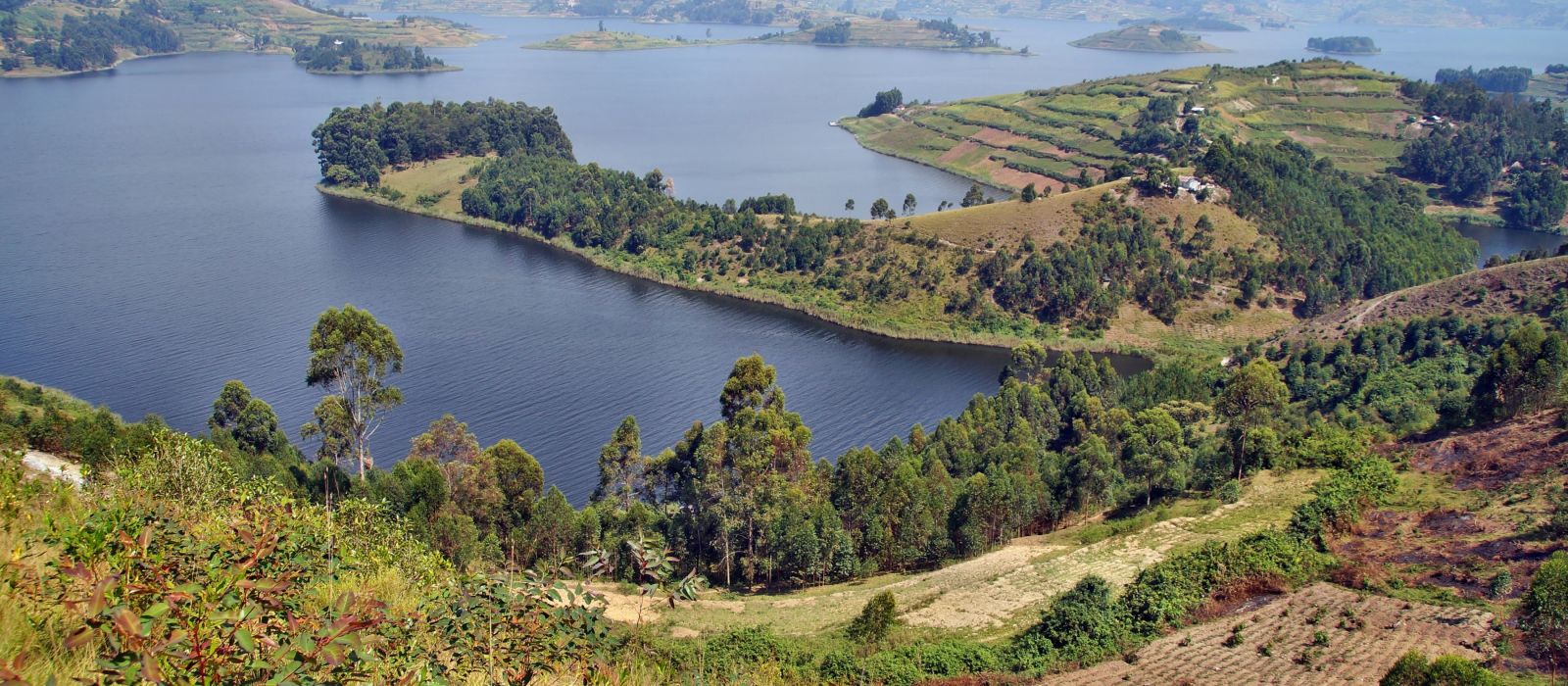 Travel to Uganda | Gorilla trekking with Enchanting Travels