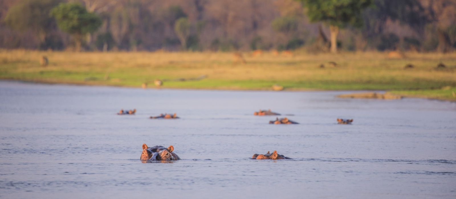 Zimbabwe Travel Package | Victoria Falls Tour in Zimbabwe