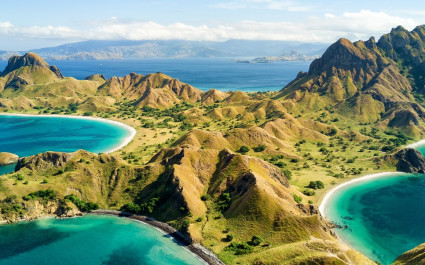 Where the Wild Things Are: Wildlife Tour Recommendations