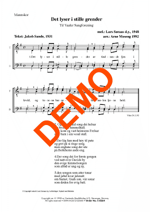 Det lyser i stille grender