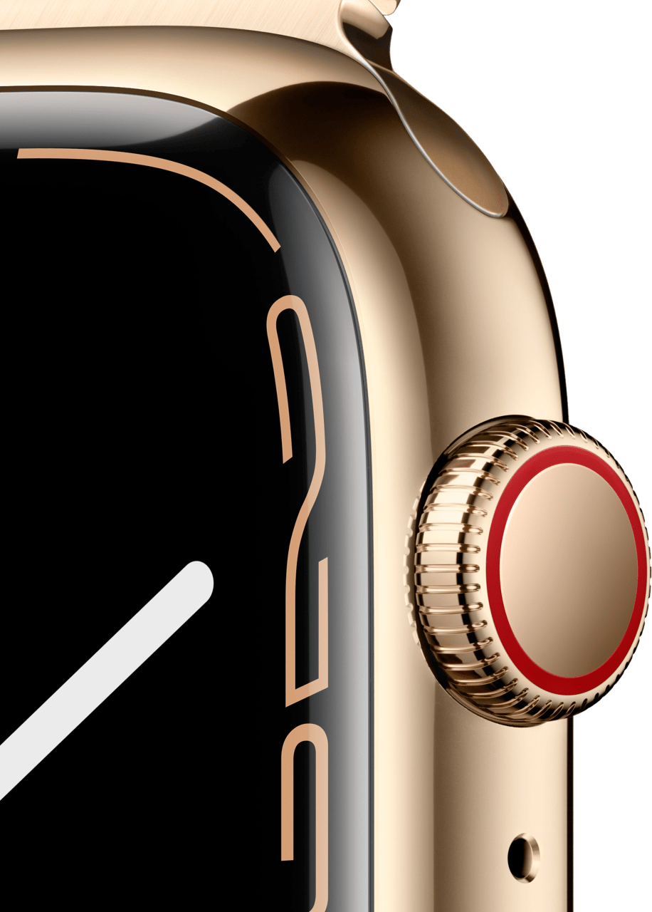 Rent Apple Watch Series 7 GPS Cellular 45mm Stainless Steel Case rent-apple-watch-series-7-gps-cellular-45mm-stainless-steel-case