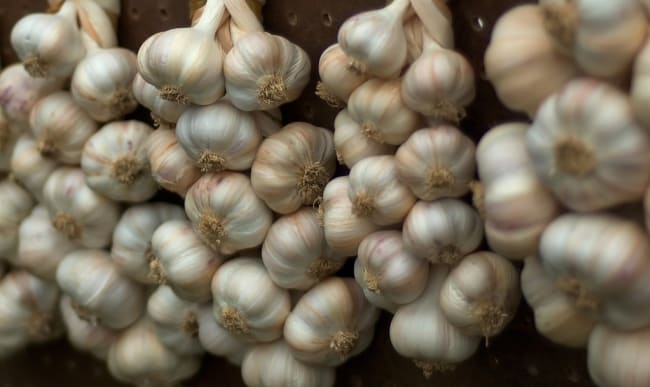 Ail et tequila : des recettes faciles et originales