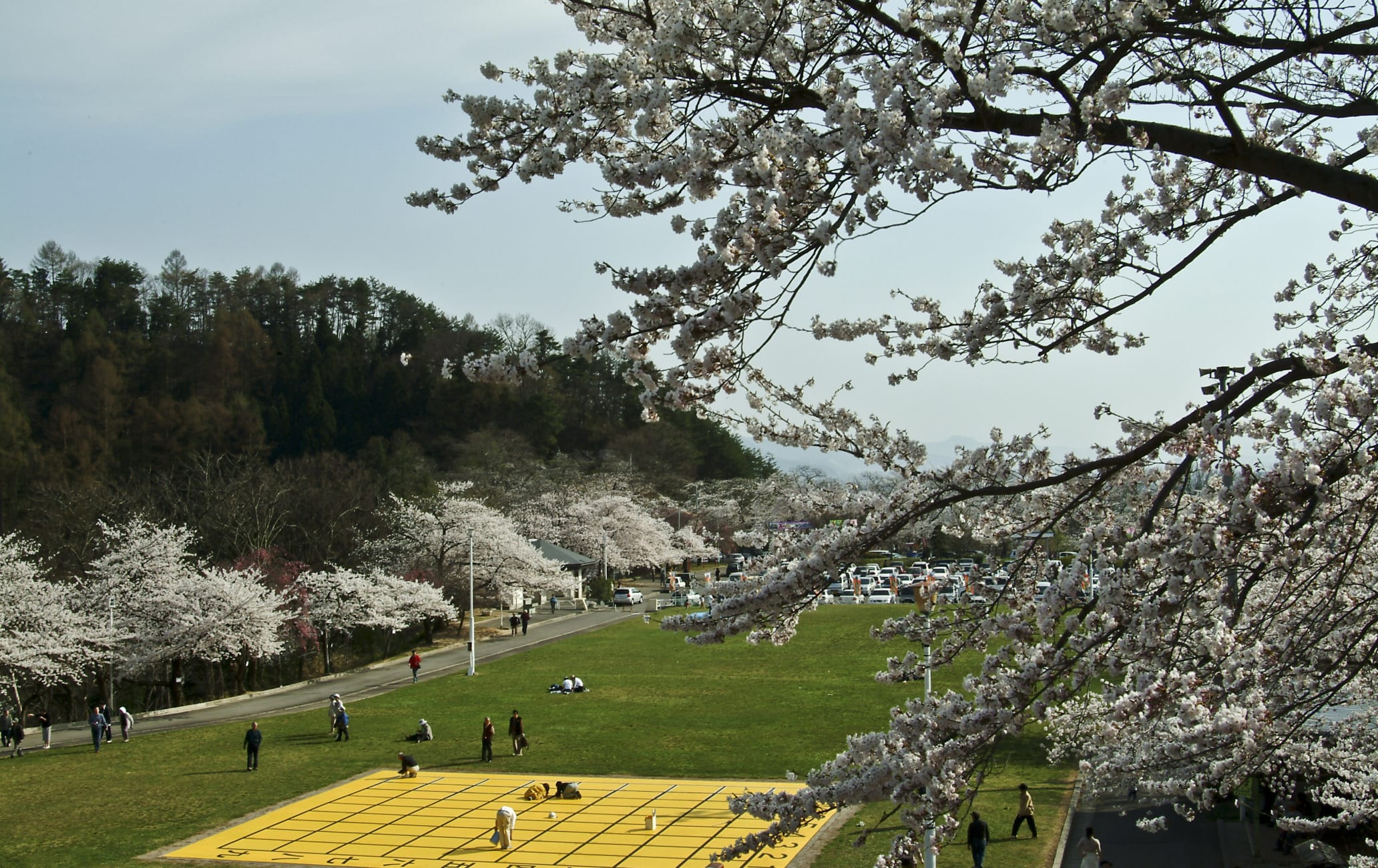 Tendo | Yamagata Attractions | Travel Japan | JNTO