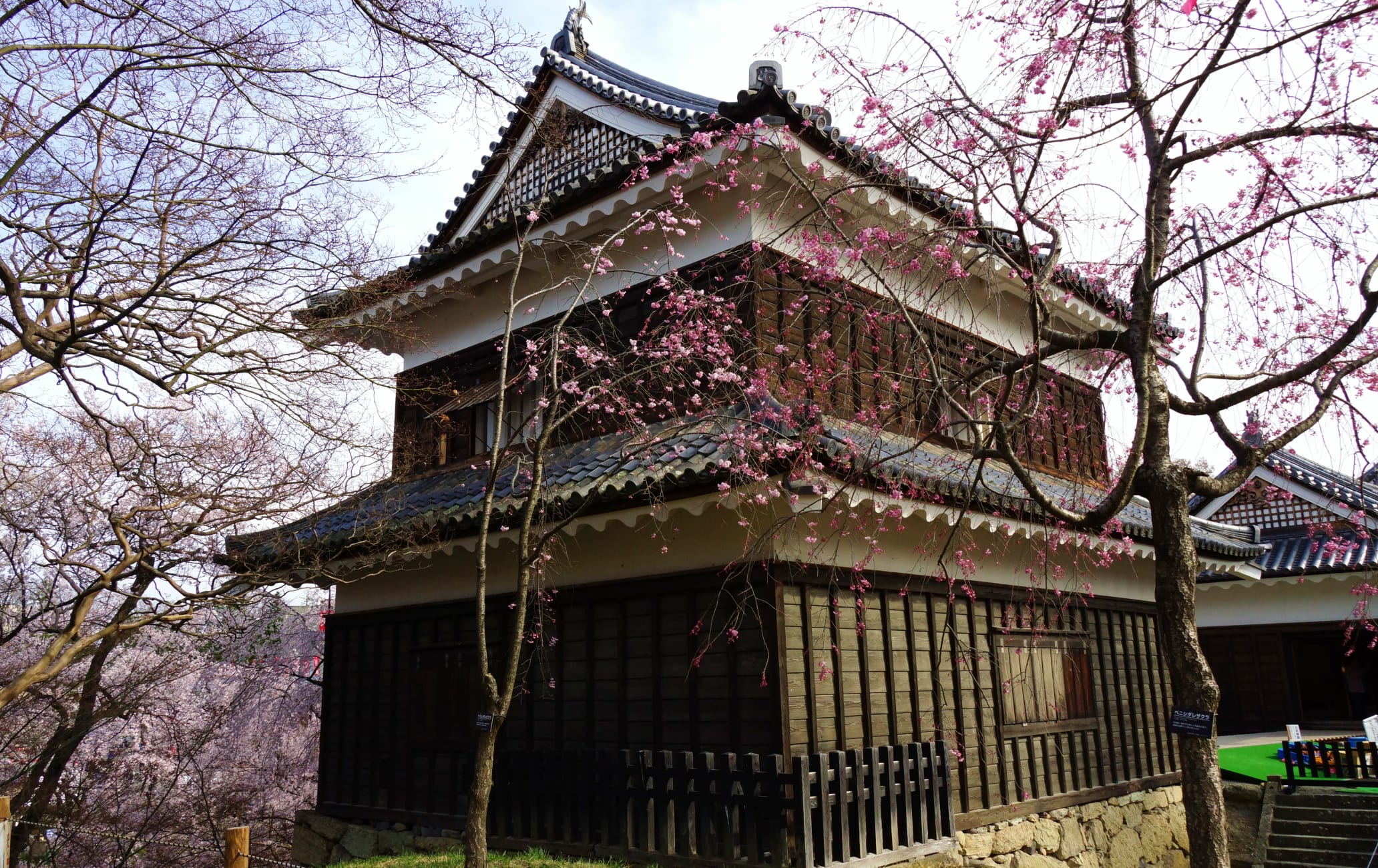 โอะงิ | Travel Japan - องค์การส่งเสริมการท่องเที่ยวแห่งประเทศญี่ปุ่น ...