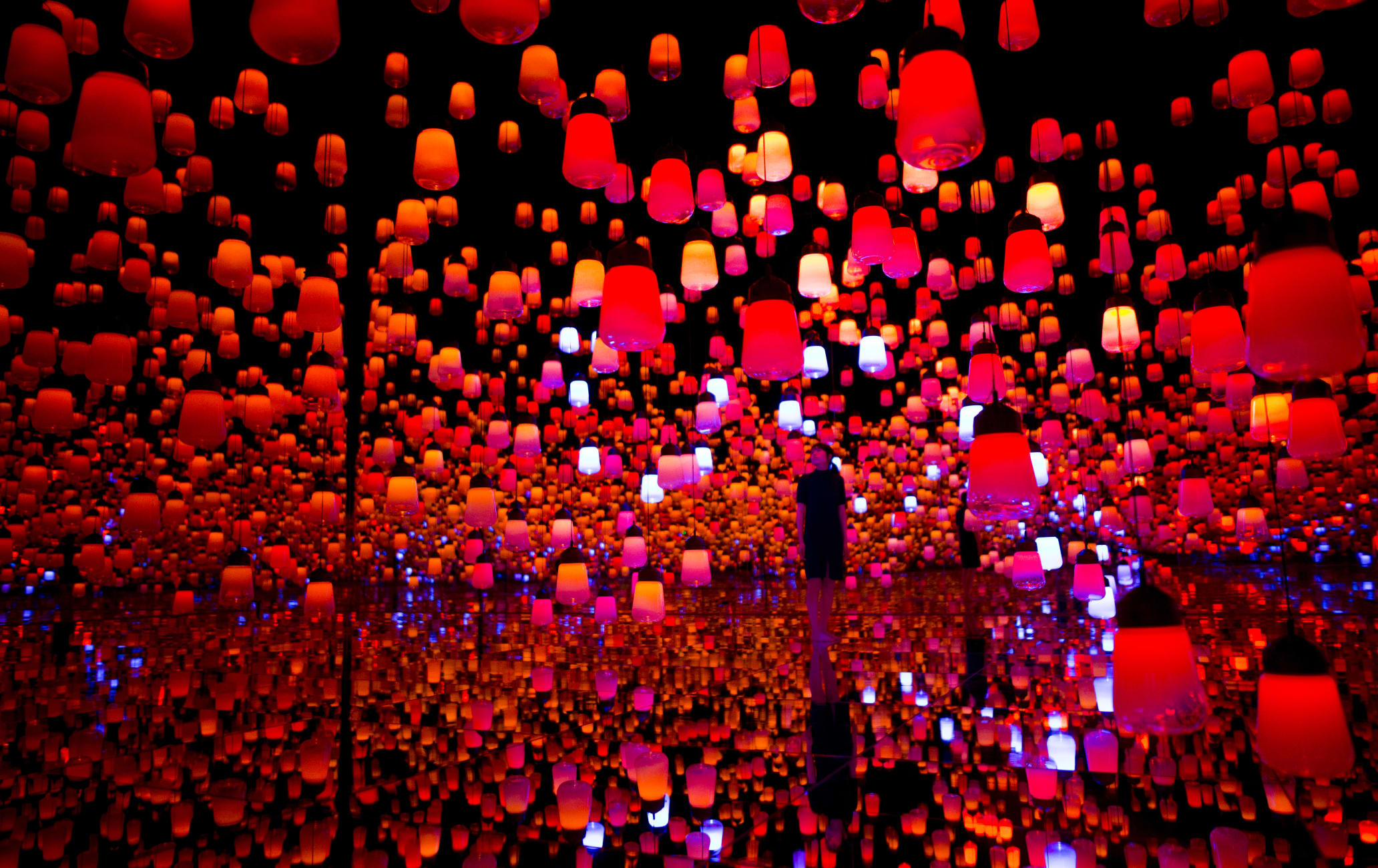 teamLab | Travel Japan (Japan National Tourism Organization)